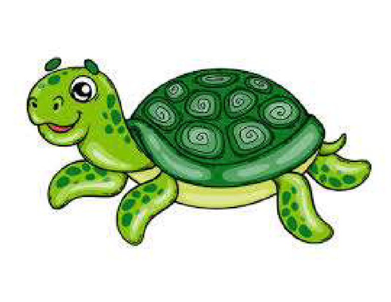 Tortuga | PDF