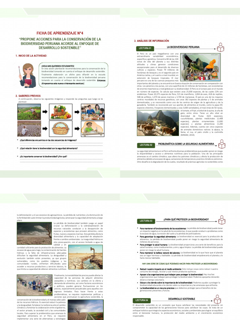 Ficha 4 - 1er Grado Ccss-Actual | PDF | Desarrollo sostenible | Sustentabilidad