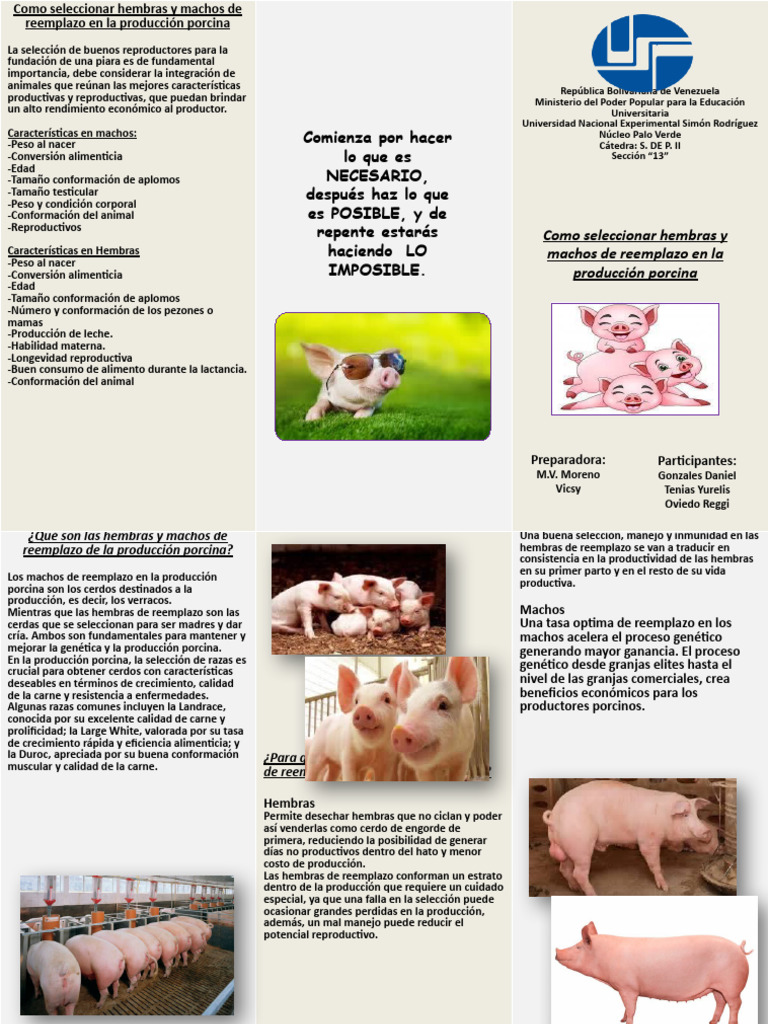 Triptico 2 | PDF | Cerdo | Carne