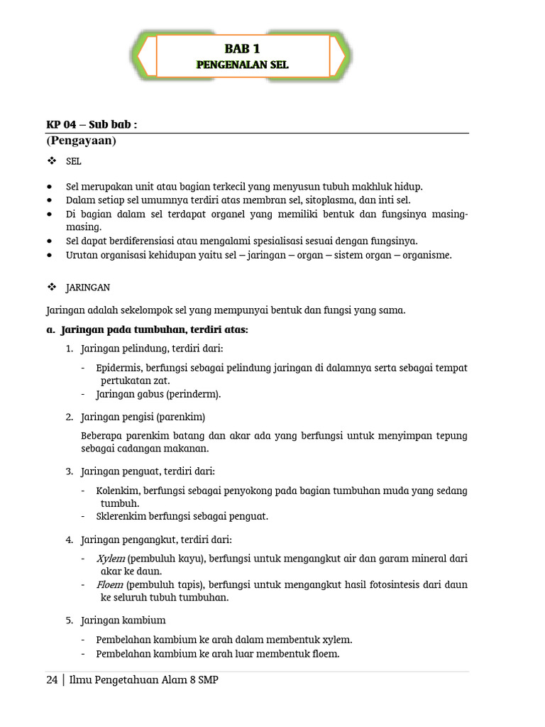 Pengenalan Sel | PDF