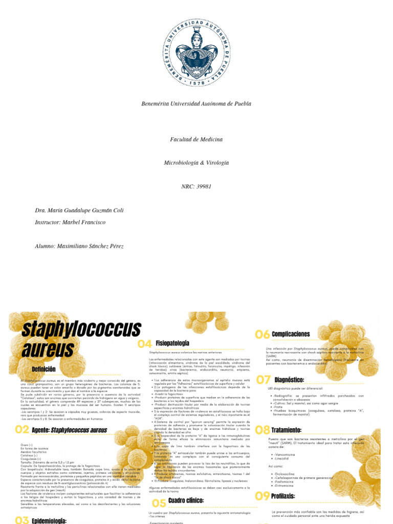 S Aureus | PDF