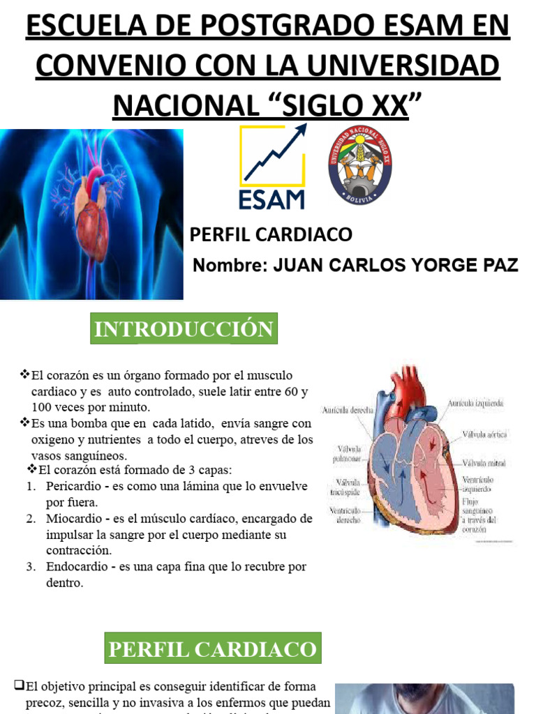 Perfil Cardiaco - Trabajo Final | PDF | Corazón | Especialidades Medicas