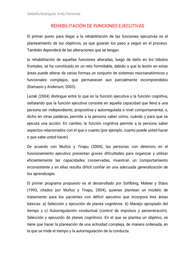 Funciones Ejecutivas | PDF