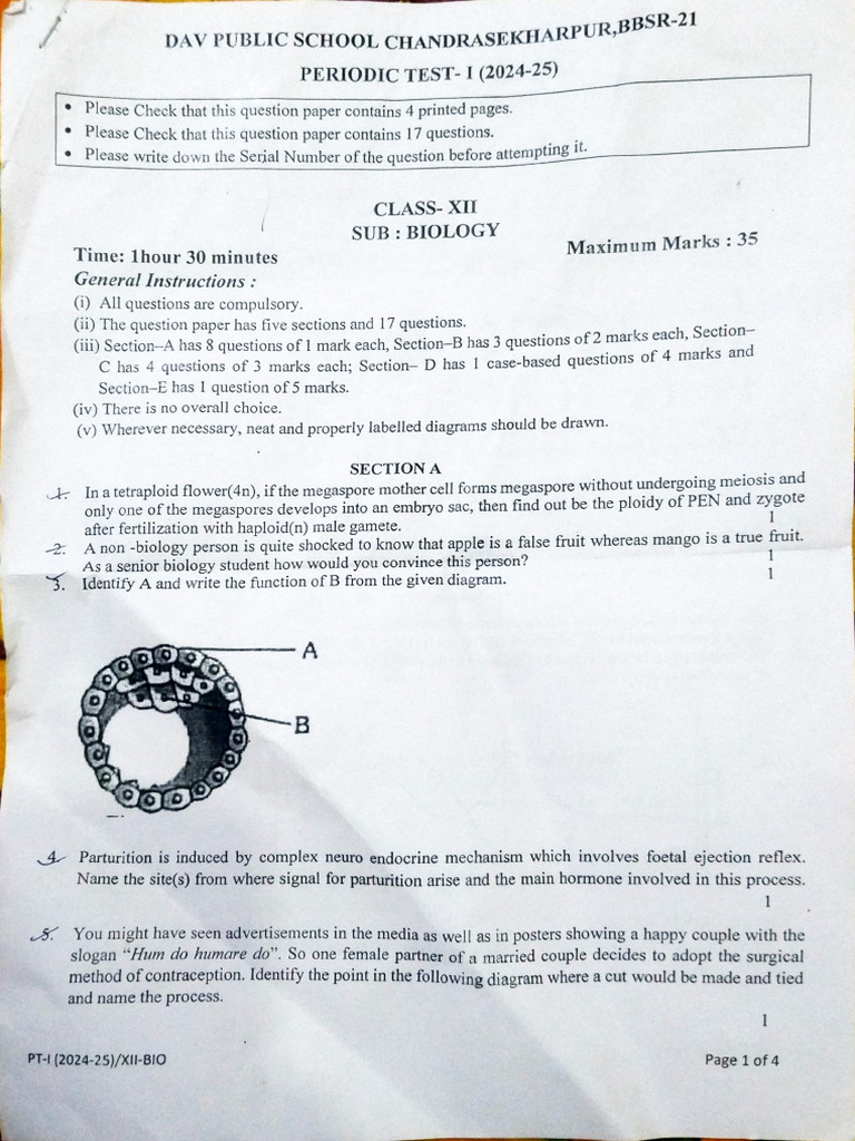 Periodic Test Biology Paper | PDF