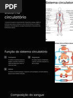 Atividade de Ciencias Sistema Circulatorio 4 e 5 Ano para Imprimir | PDF