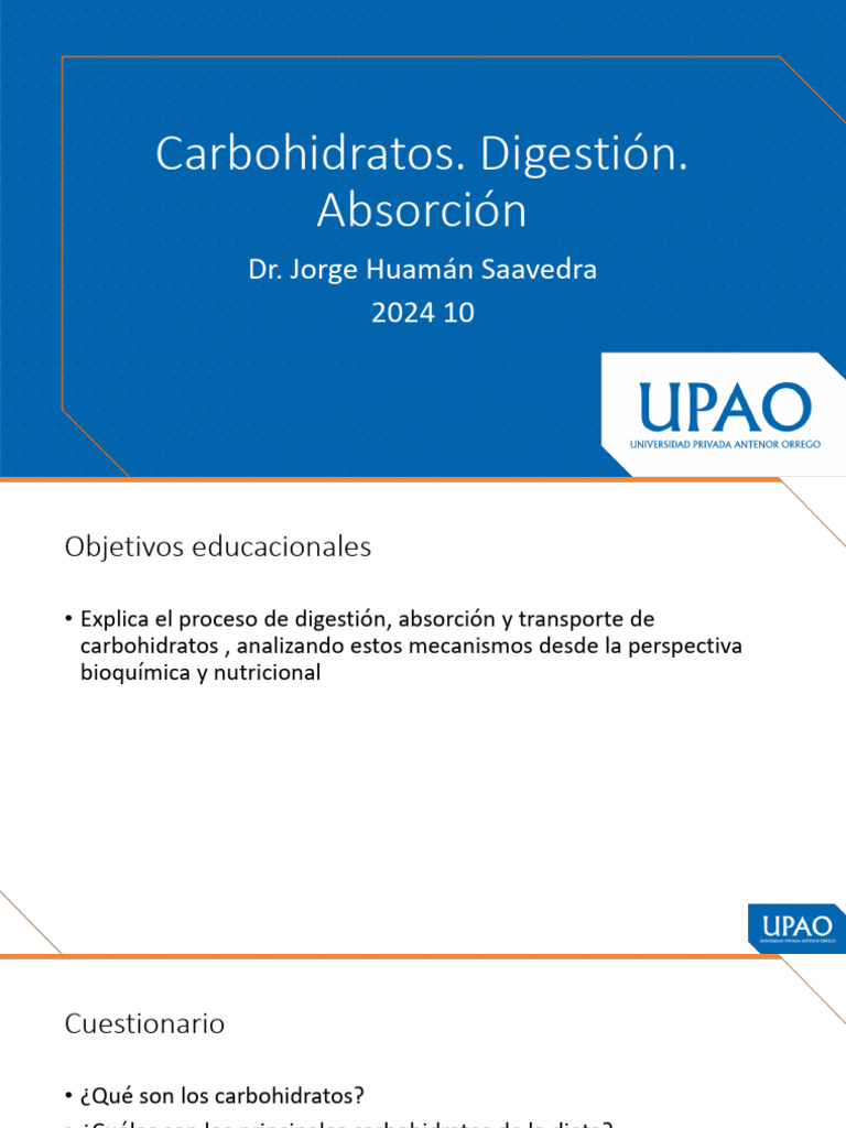 s7 - PPT - 71principales Carbohidratos de La Dieta 2 - 240506 - 111452 | PDF | Carbohidratos ...