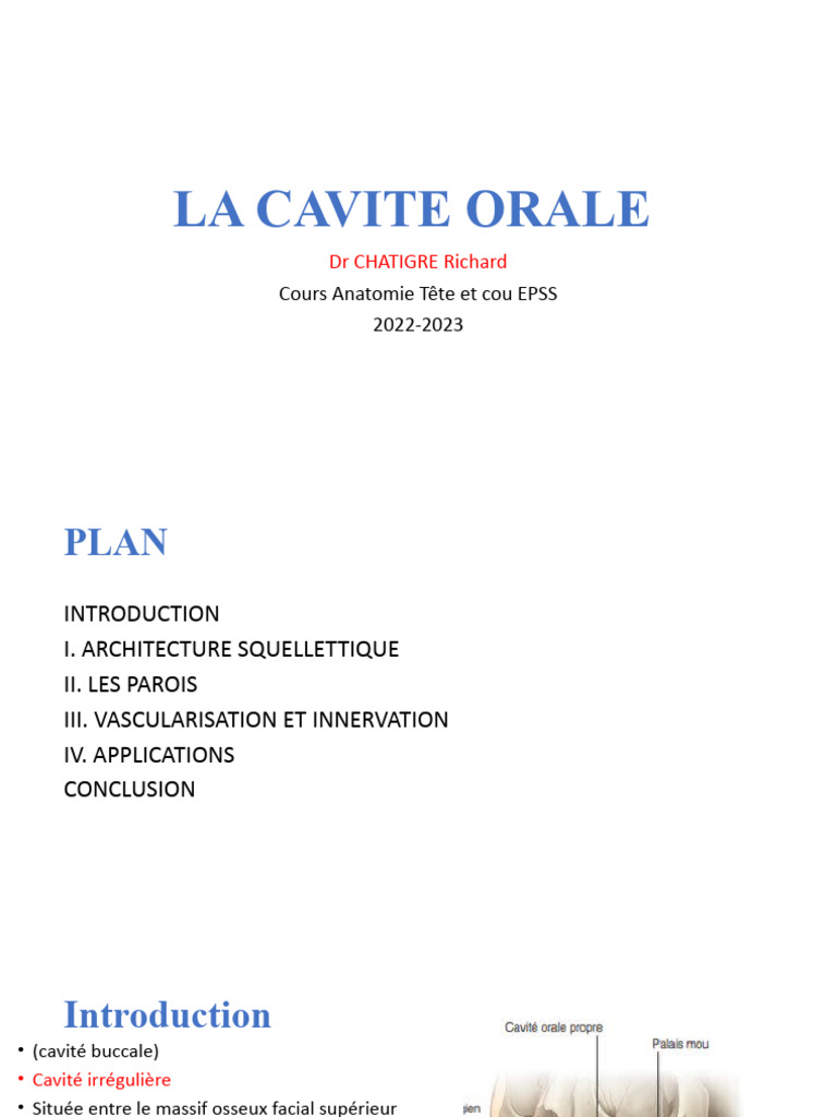 Anatomie de la Cavité Buccale | PDF | Langue | Anatomie humaine