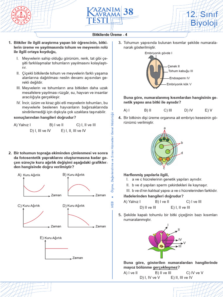 Sınıf Biyoloji Biyoloji: Bitkilerde Üreme - 4 | PDF