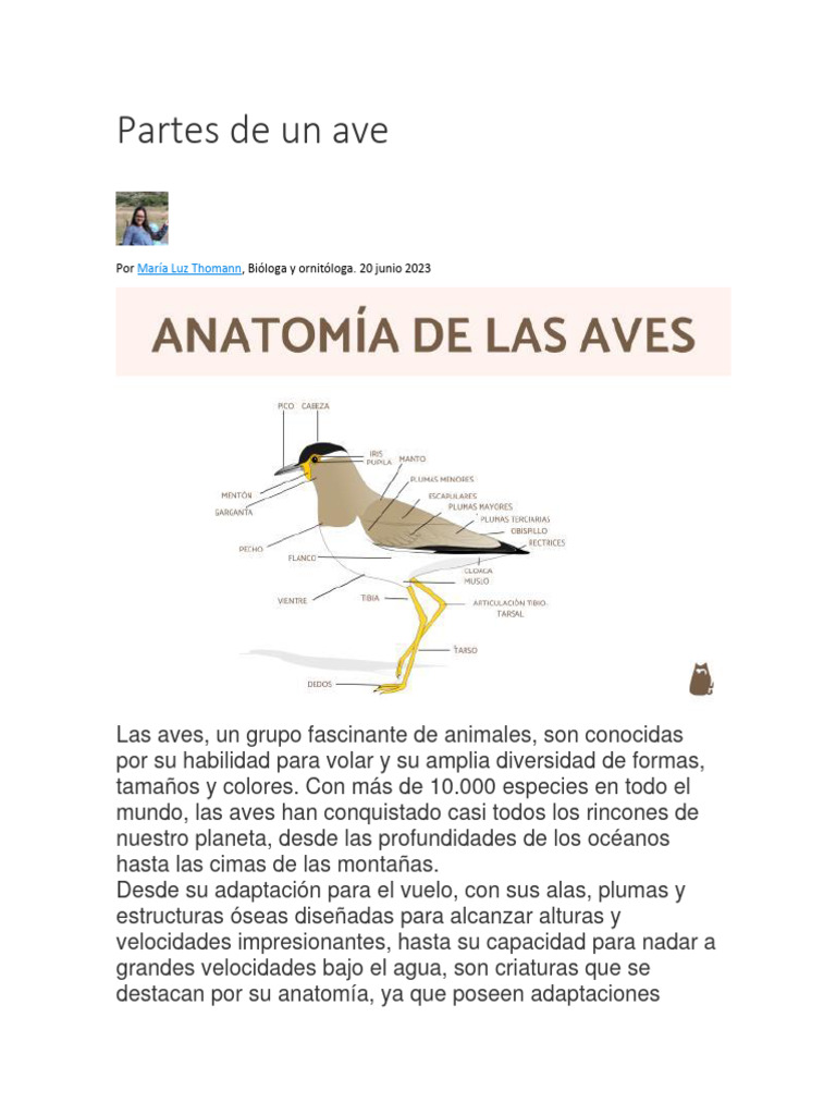 anatomia de las aves | PDF | Pulmón | Esqueleto