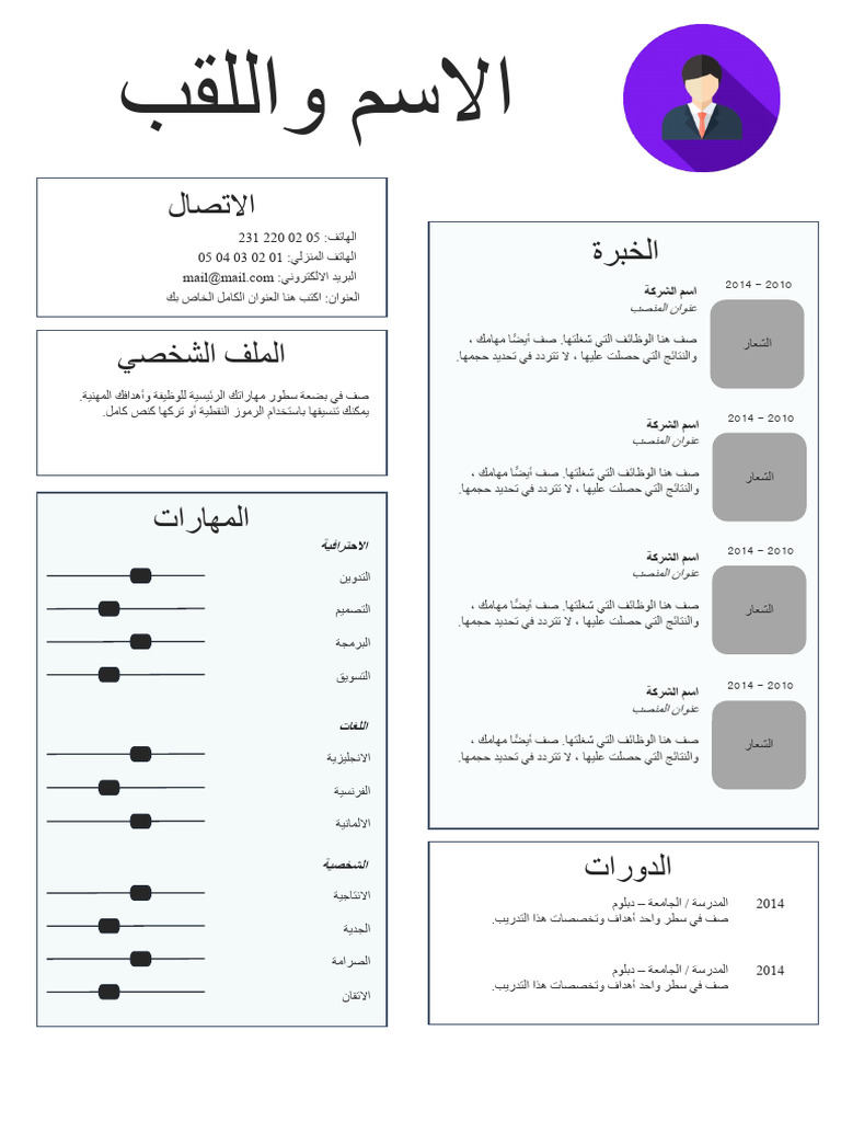 07 CV Arabic | PDF