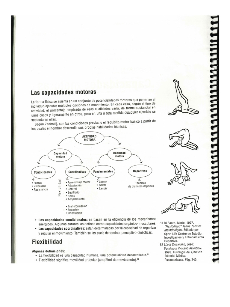 Capacidades Motoras | PDF