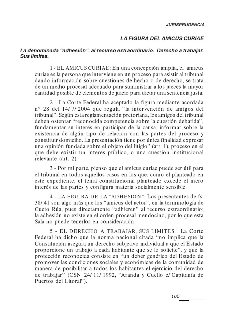 Amicus Curiae | PDF | Amicus Curiae | Caso de ley