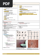Dermatology Exam: Key Morphology Terms | PDF | Psoriasis | Dermatology