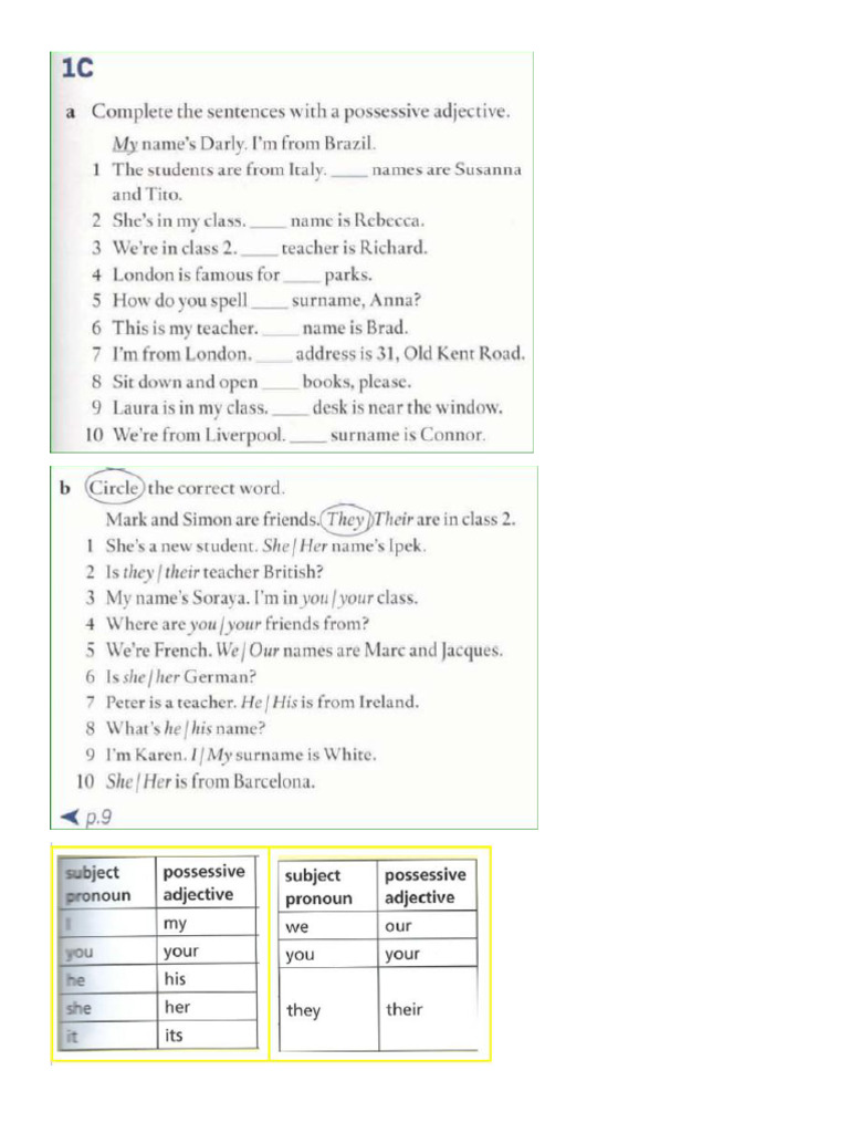 English File Exercises Possesive Pronouns | PDF