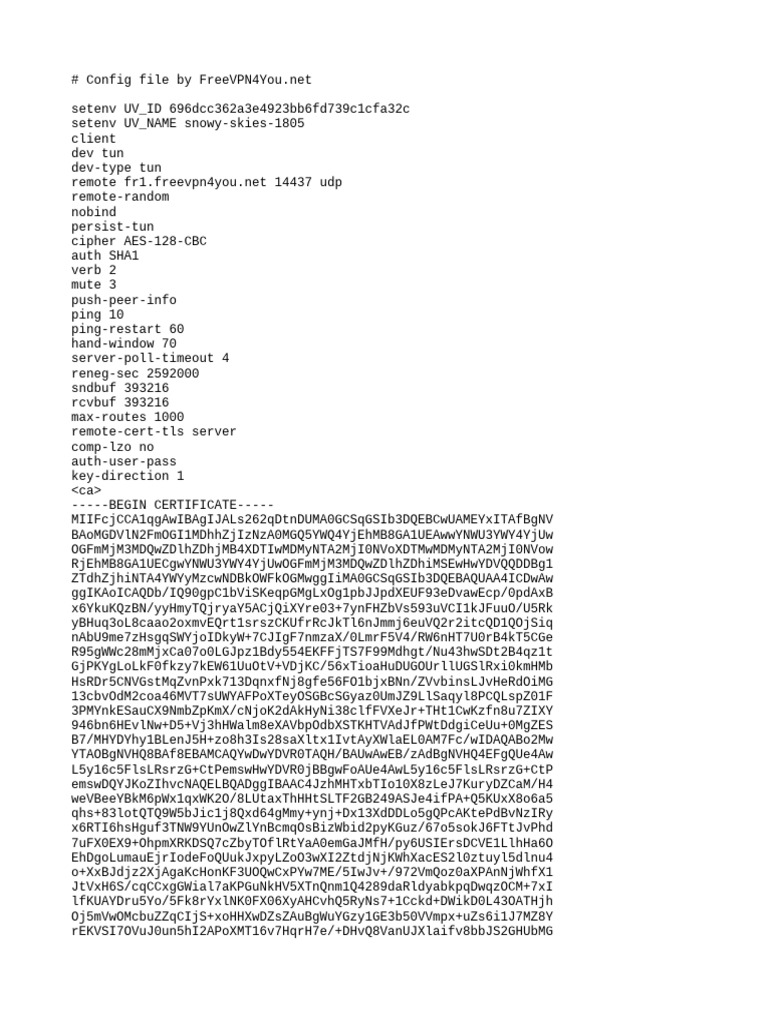 France Udp - Ovpn | PDF | Data Transmission | Espionage Techniques