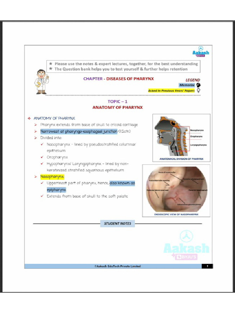 Anatomy of Pharynx | PDF