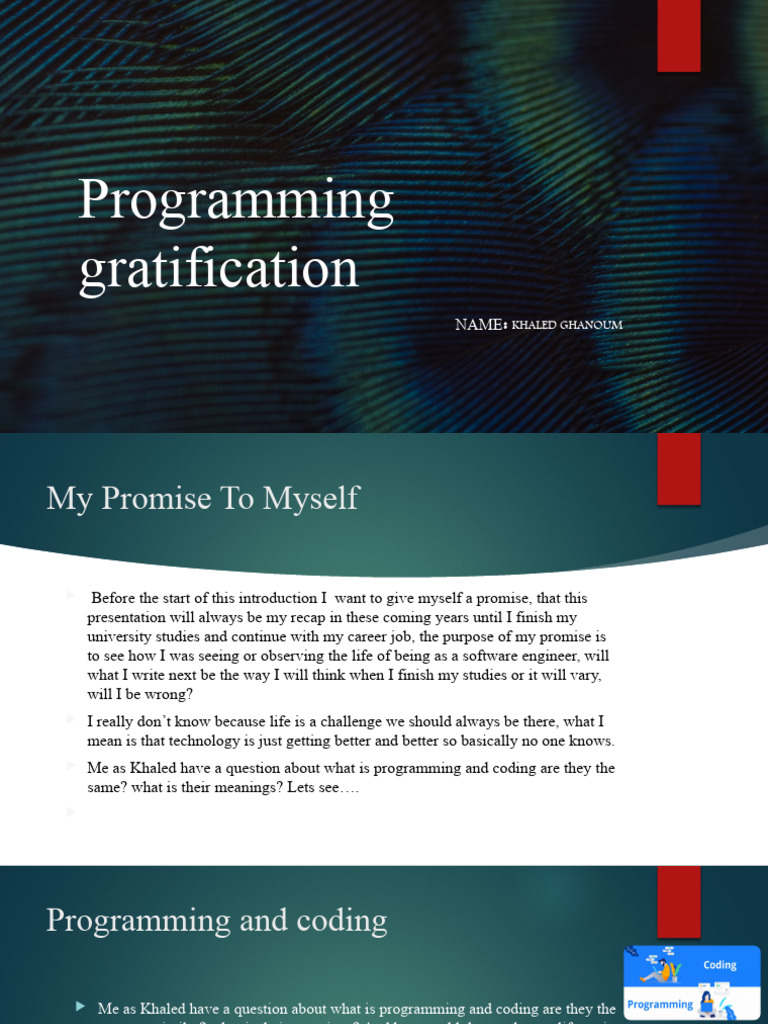 Programming Gratification | PDF | Computer Programming | World Wide Web