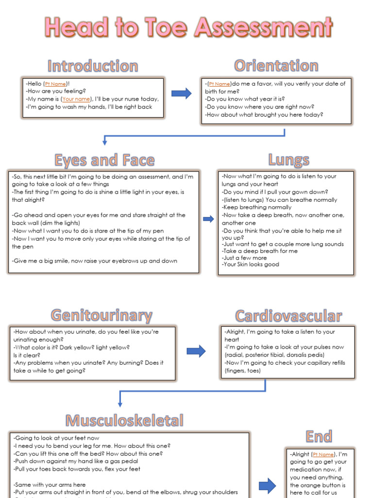 Head To Toe Assessment2 | PDF | Anatomical Terms Of Motion