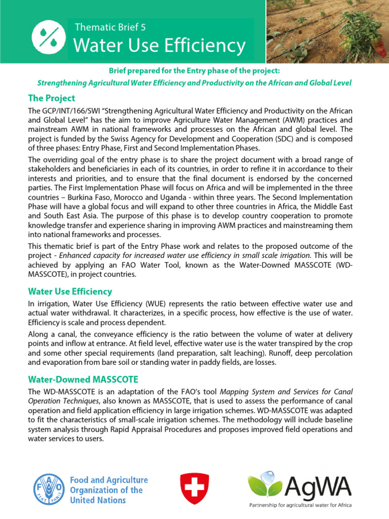1 - Efficiency - Thematic Brief - en | PDF | Irrigation | Water