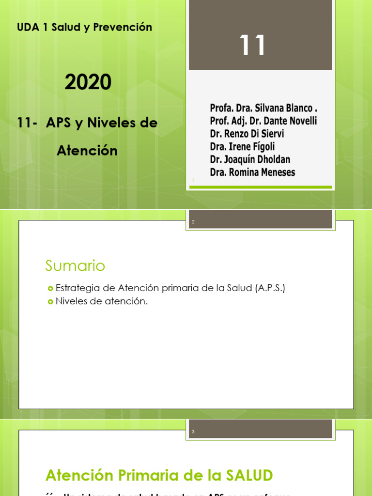 11 - APS y Niveles de Atención 2020 | PDF | Hospital | Cuidado de la salud