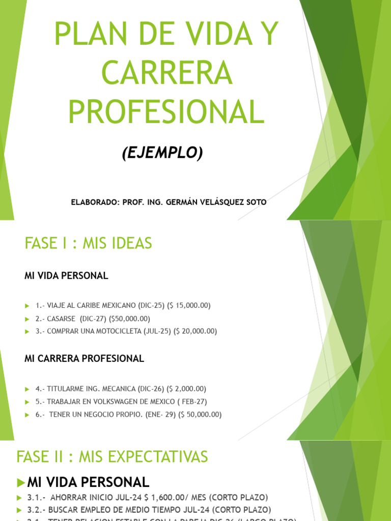 Plan de Vida y Carrera Profesional | PDF
