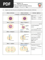 Oreo Mitosis Lab | PDF | Mitosis | Cell Biology