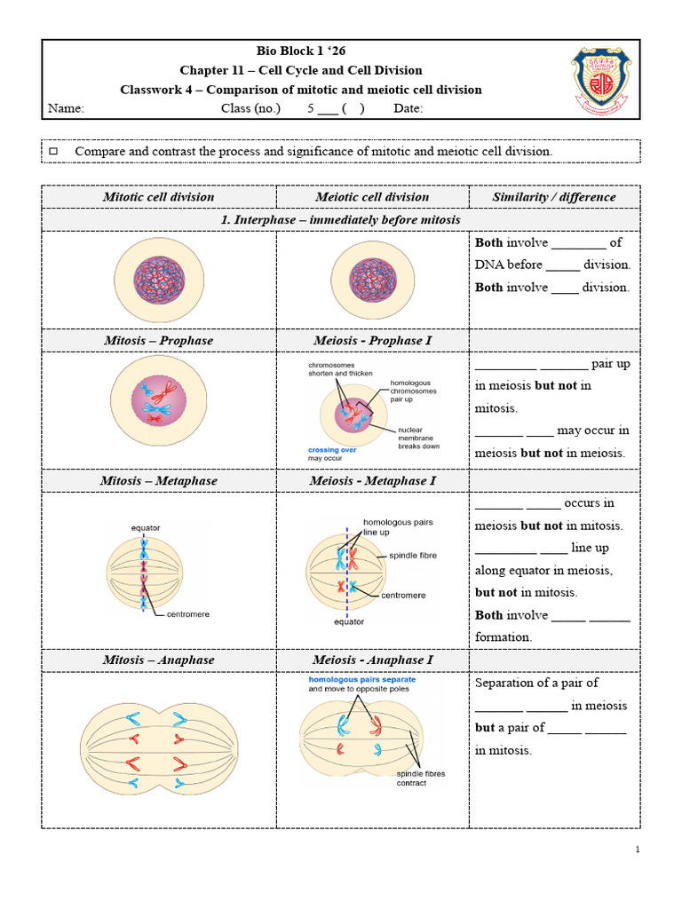 Classwork 11.4 Comparison of Mitotic and Meiotic Cell Division - Blank ...