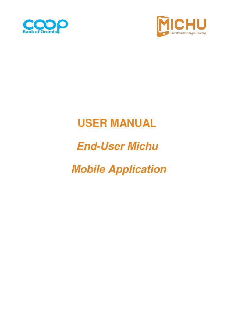 MICHU | PDF | Application Software | Loans