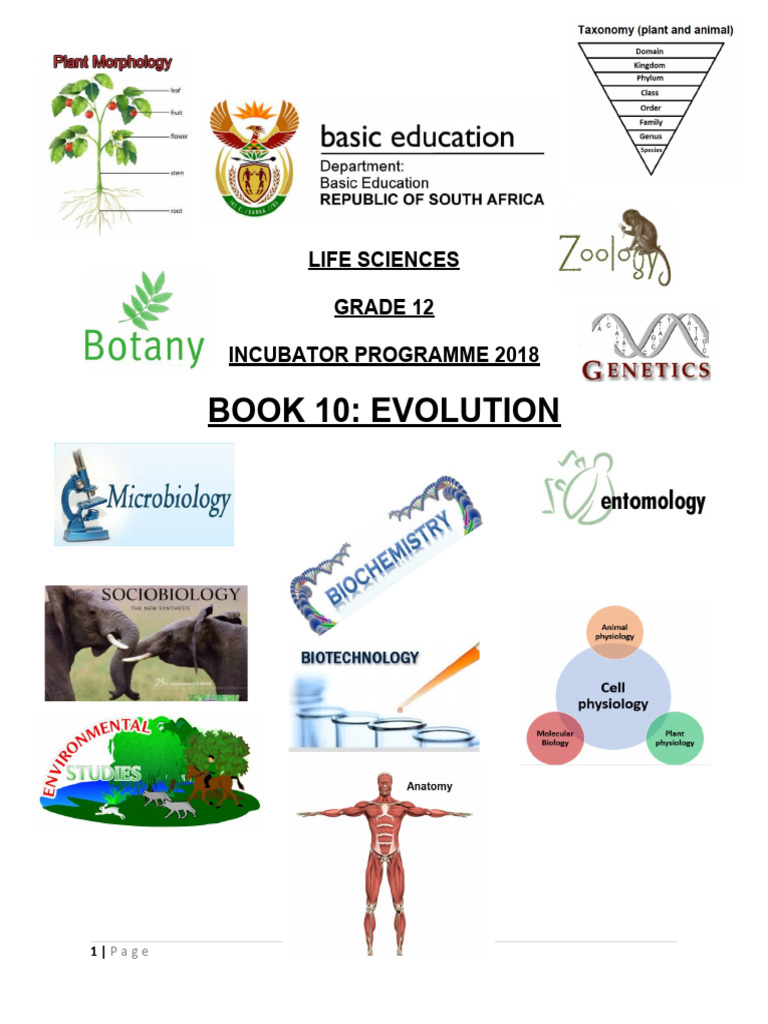 Grade 12 Evolution Concepts Guide | PDF | Evolution | Homo
