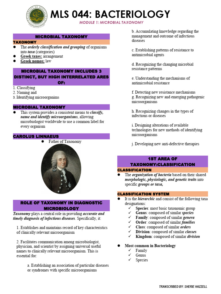 Bacte Mod 1 Microbial Taxonomy | PDF | Salmonella | Nucleic Acid Sequence