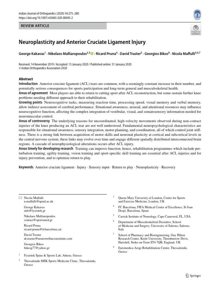 Neuroplasticity and Acl Injury | PDF | Knee | Neuroplasticity