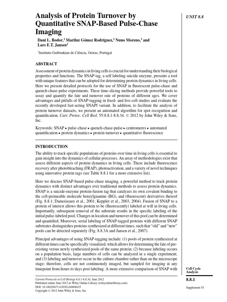 CP Cell Biology - 2012 - Bodor - Analysis of Protein Turnover by ...