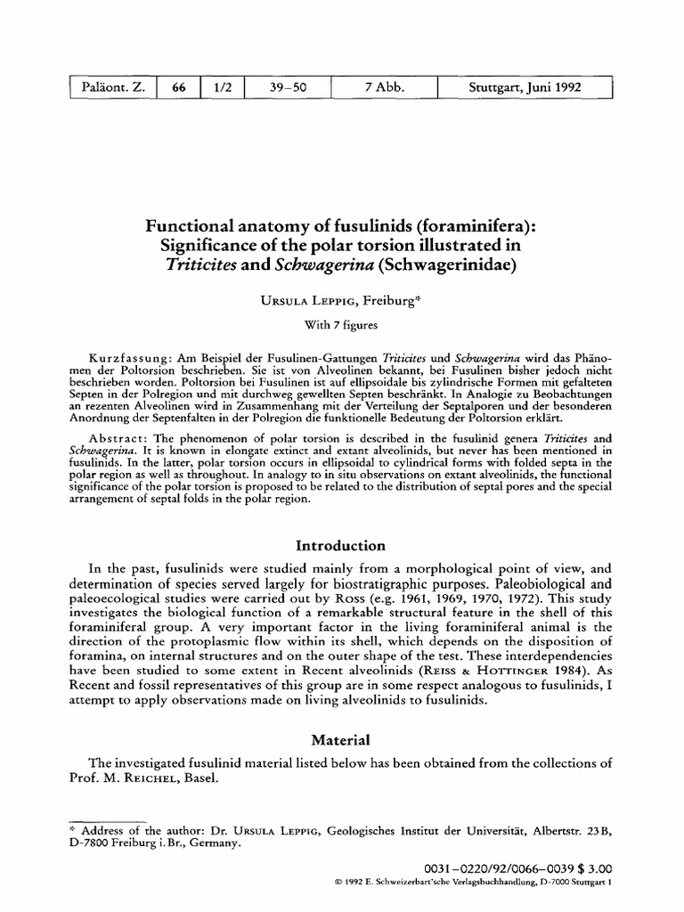 Functional Anatomy of Fusulinids (Foraminifera) : Significance of The ...