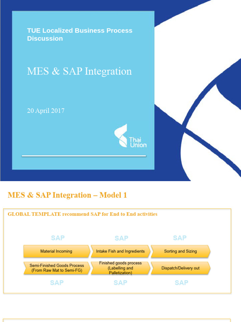 MES SAP Integration 042117 - V0.7 | PDF | Warehouse | Pallet