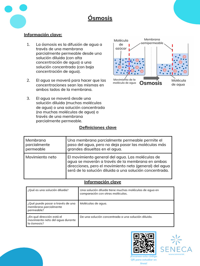 Conceptos Clave de Ósmosis | PDF | Ósmosis | Membrana