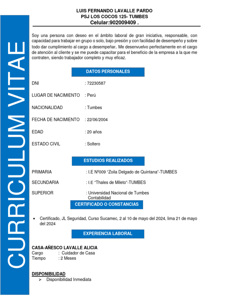 Curriculum Vitae Luis Fernado Lavalle Pardo | PDF | Documento de identidad
