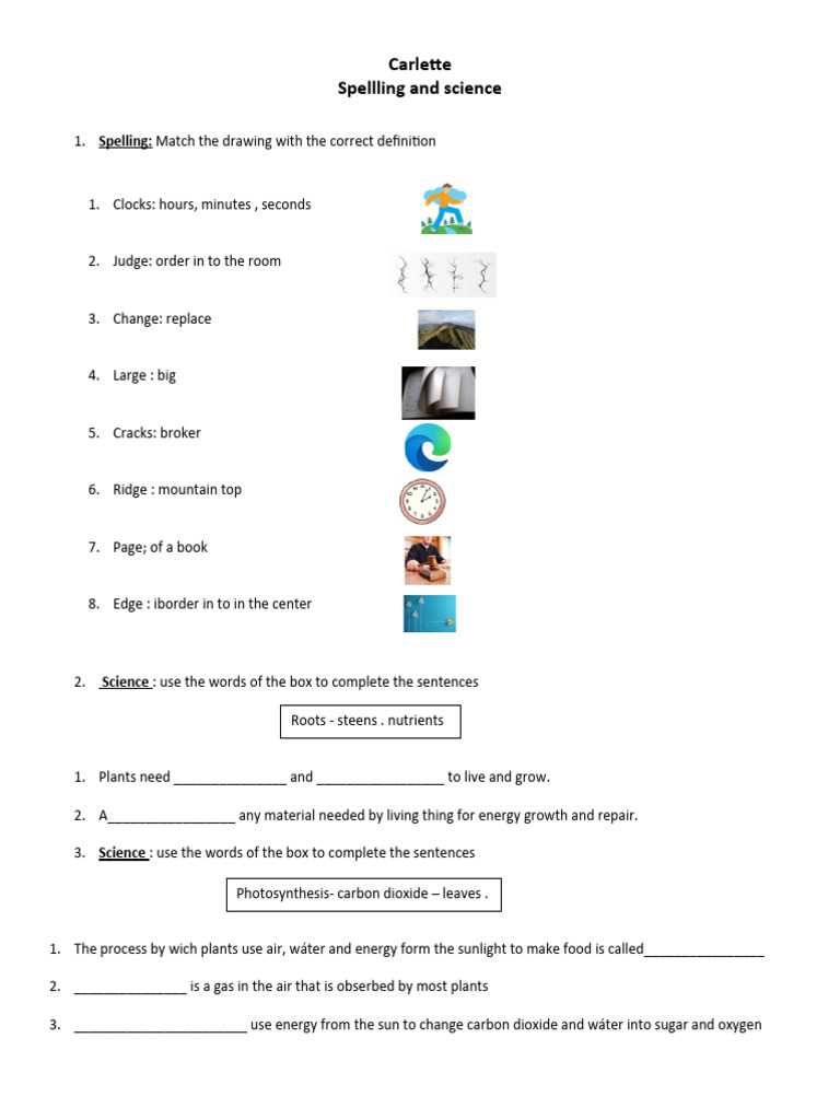 Carlette Science & Spelling | PDF | Plants | Photosynthesis