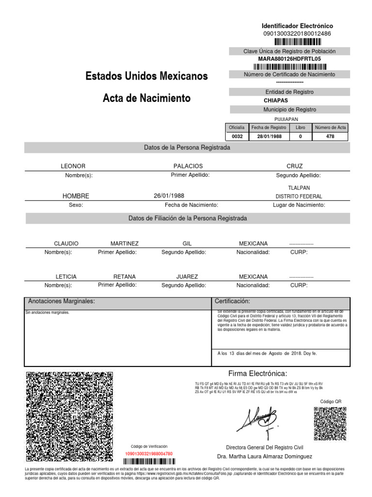 Nuevo Formato de Actas de Nacimiento | PDF | Vigilancia | Información ...