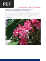 Kalachuchi Tree: A Filipino Legacy | PDF