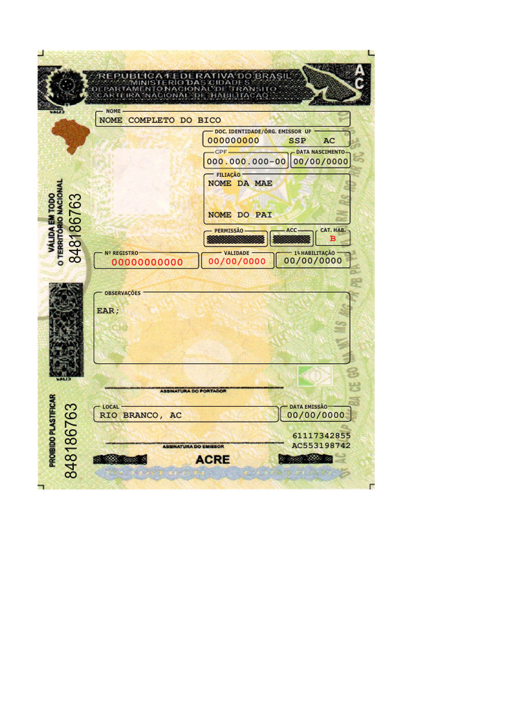 Matriz CNH Todos Os Estados | PDF