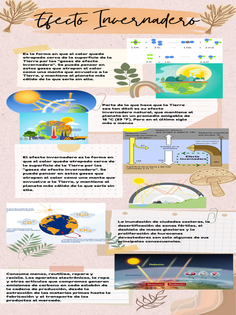 Cochinita Píbil - 20240318 - 155510 - 0000 | PDF