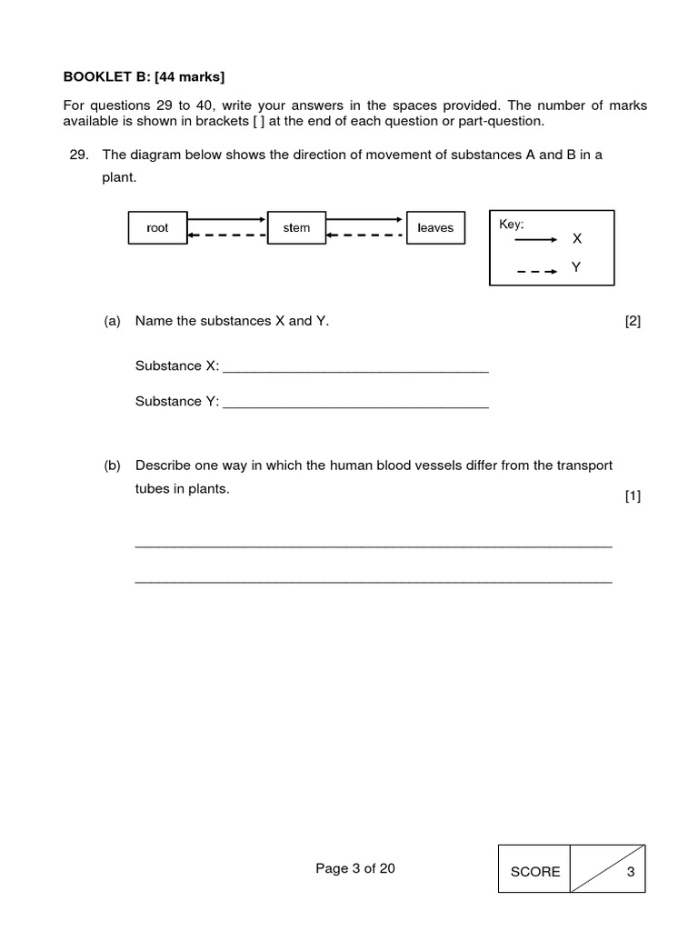 PSLE 2022 Science Booklet B Answers | PDF | Water | Steam