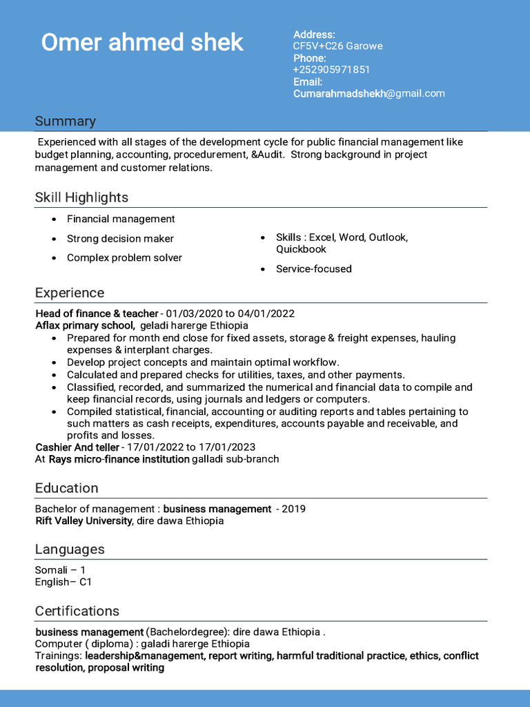 CV of Omer Original | PDF