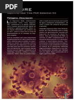 Sapovirus: Causas y Síntomas de Gastroenteritis | PDF | Virus ...