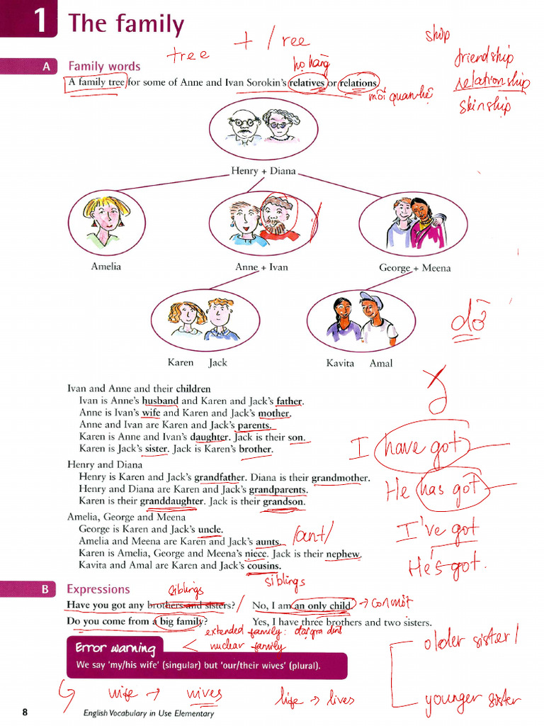 Family and Relationship Vocabulary Guide | PDF