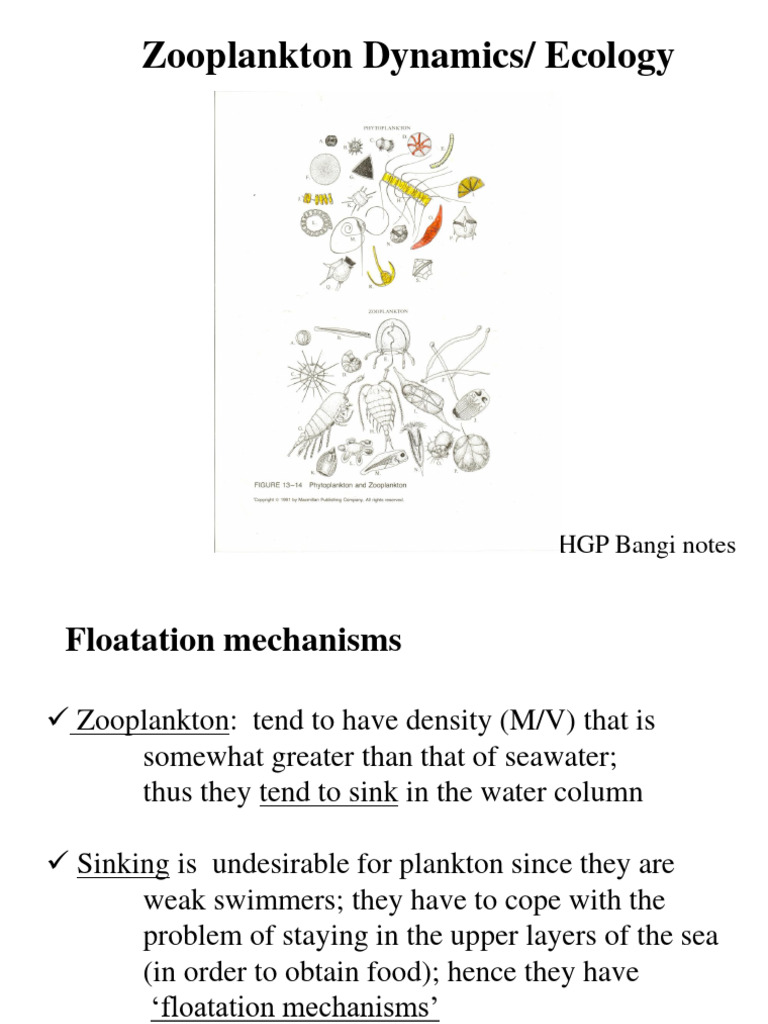 3 Biol Oceanogr - Zooplankton Dynamics | PDF | Plankton | Environmental ...