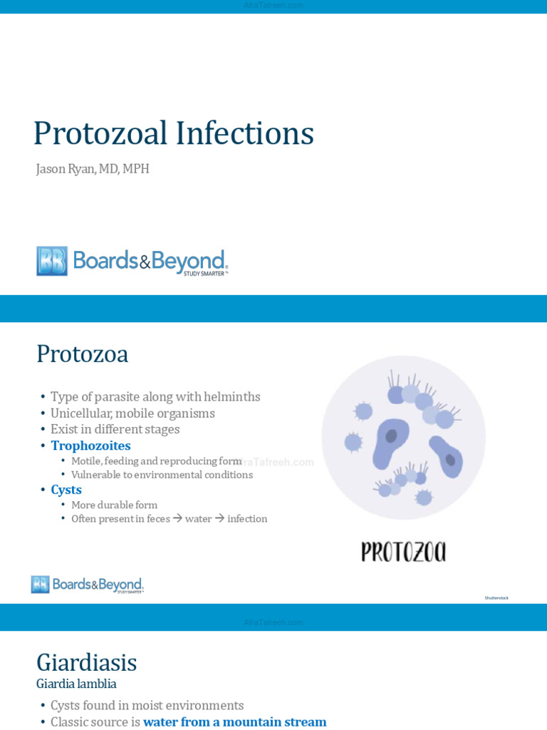 Protozoal Infections Atf | PDF | Medical Specialties | Diseases And ...