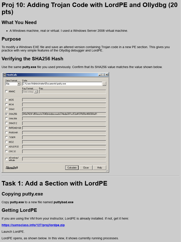 Proj 10 Adding Trojan Code With LordPE and Ollydbg 20 Pts | PDF | Computer File | Virtual Machine
