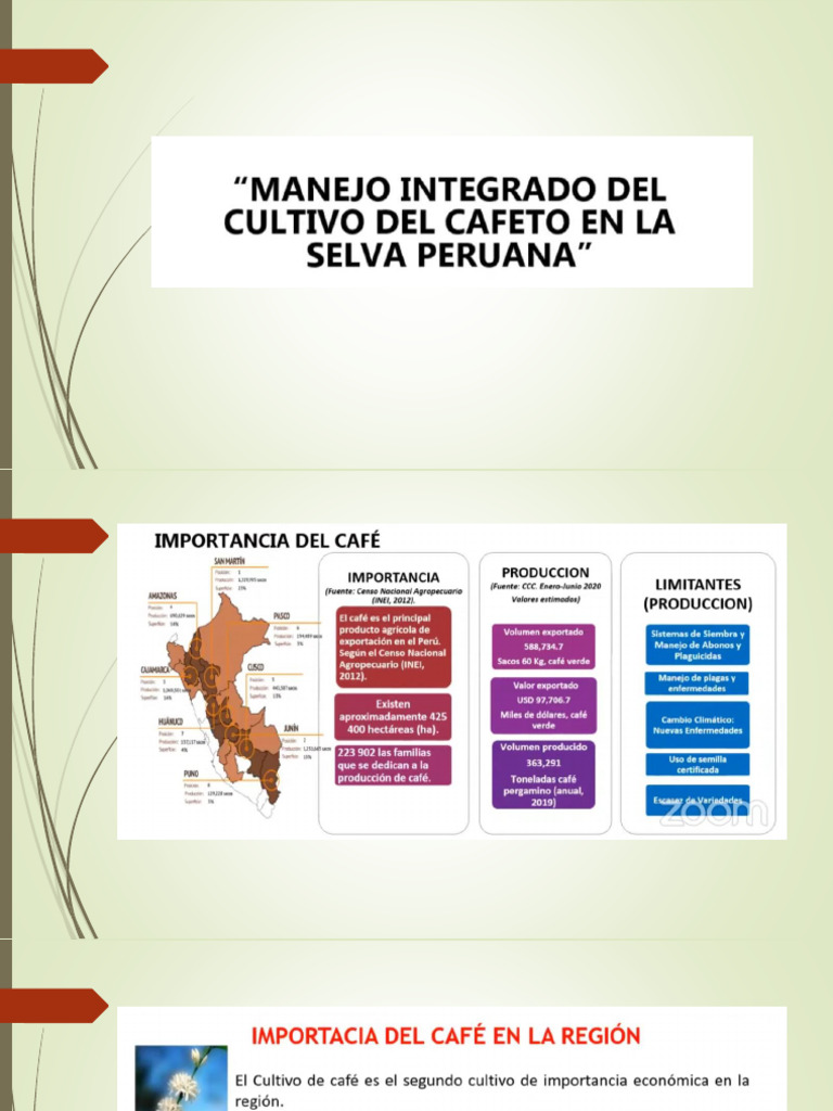 Manejo Integrado Del Cultivo de Café en La Selva Peruana | PDF