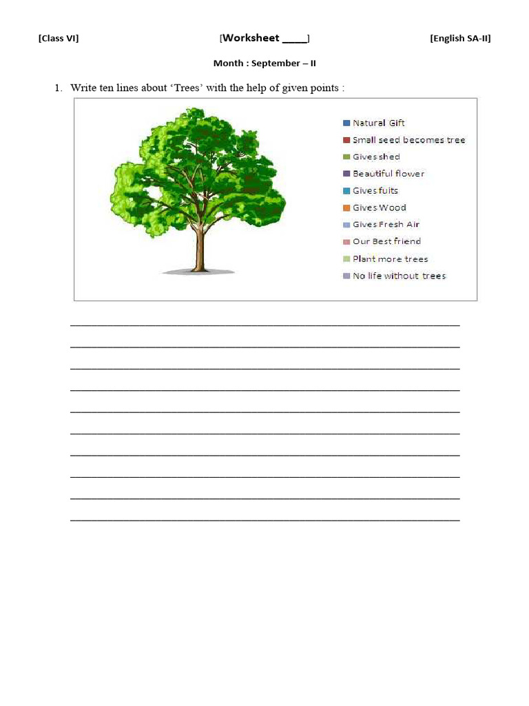 CBSE Class 6 English Practice Worksheets | PDF | Snake